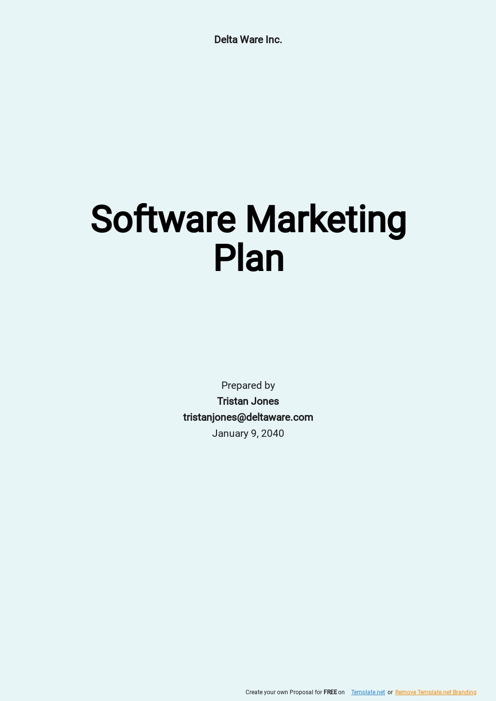51 IT Software Plan Templates Free Downloads Template 51 IT Software Plan Templates Free Downloads Template