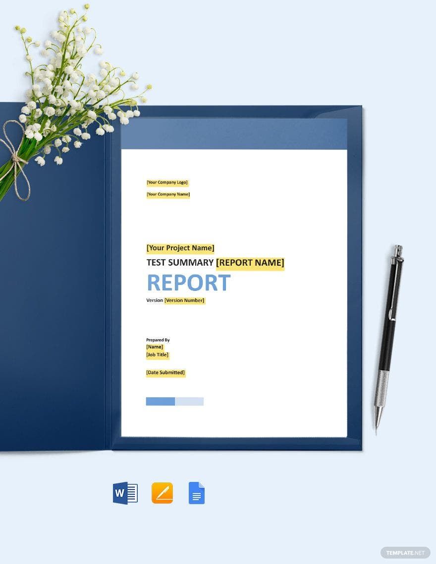 FREE Summary Report Google Docs Template Download Template