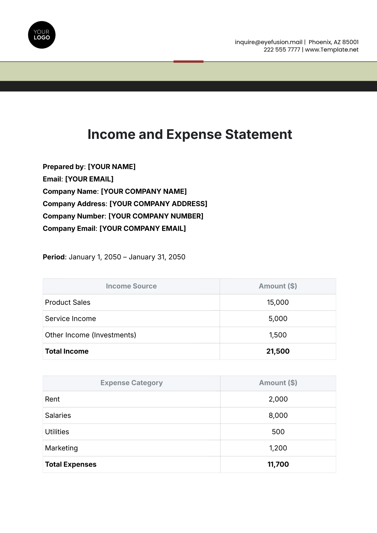 Income And Expense Statement Template Free Personal Financial Income And Expense Statement Template Free Personal Financial