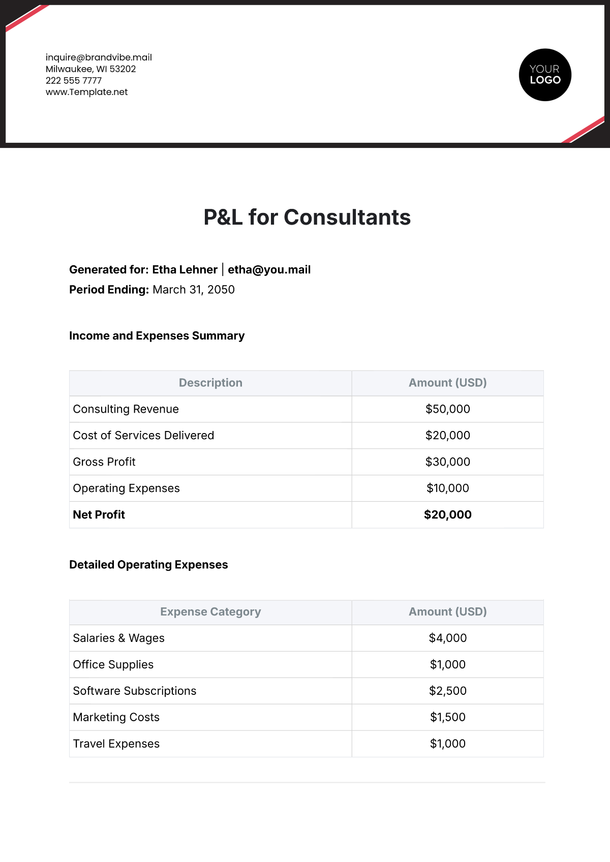 Free P L For Consultants Template To Edit Online Free P L For Consultants Template To Edit Online