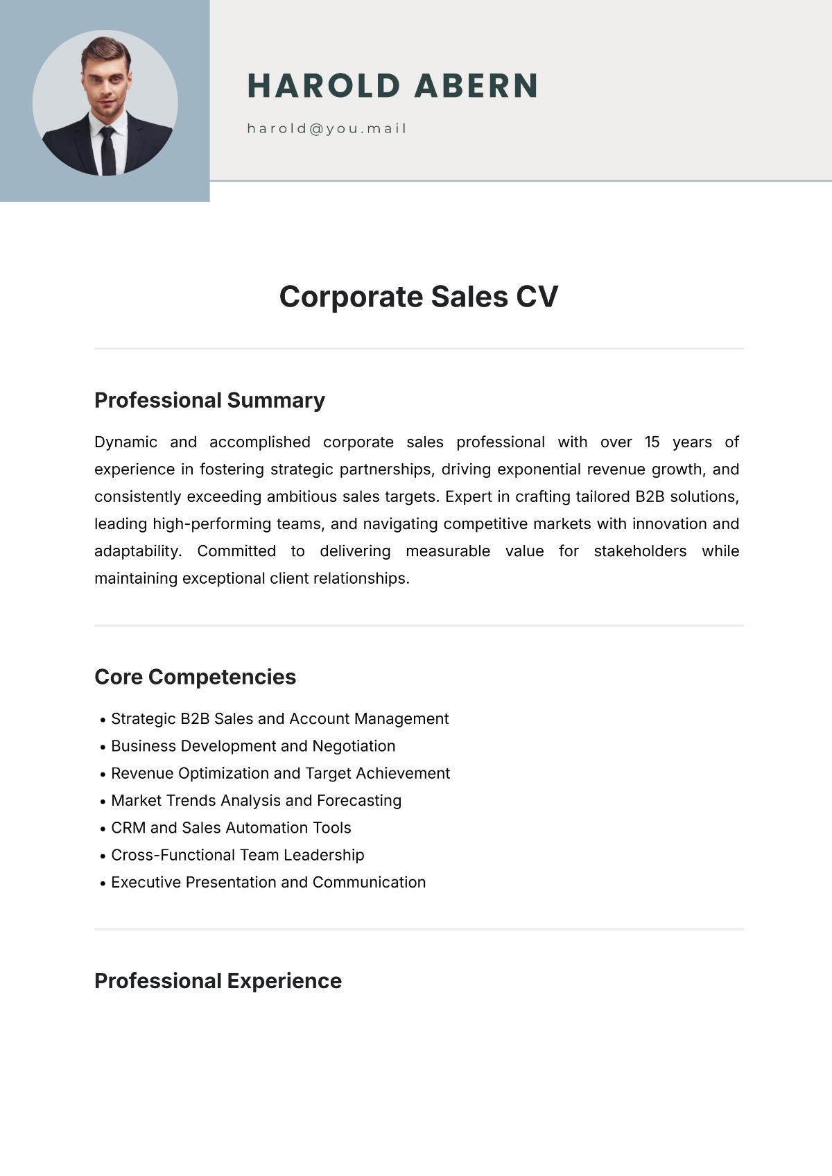 Free Corporate Sales CV Template To Edit Online