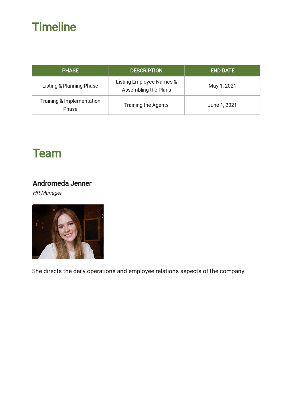 Basic Work From Home Plan Template [Free PDF] - Word (DOC) | Google Docs