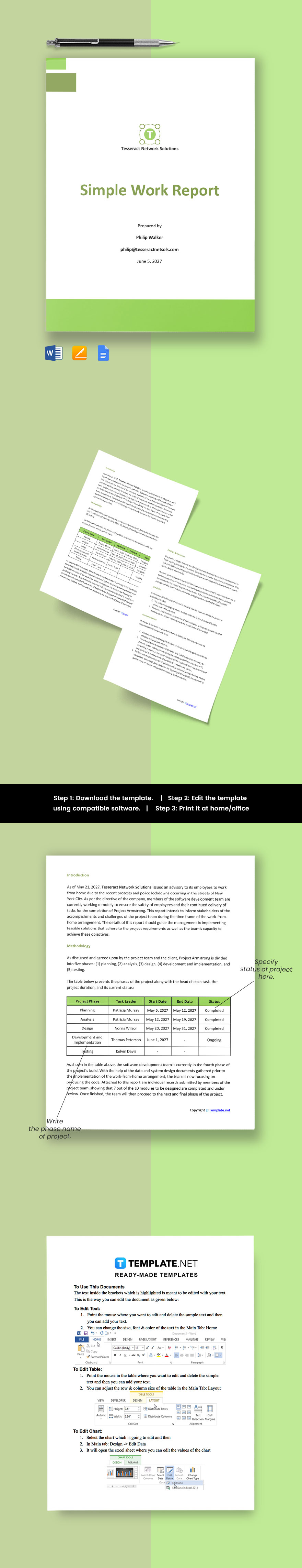 Free Simple Industry Visit Report Template - Google Docs, Word ...