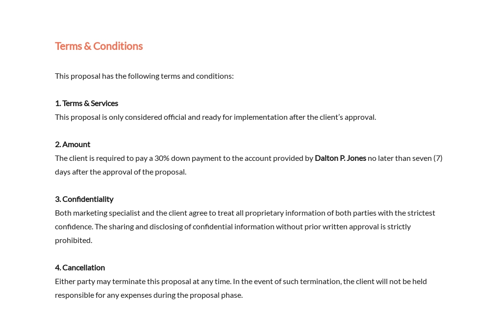 freelance-social-media-proposal-template-free-pdf-word-doc