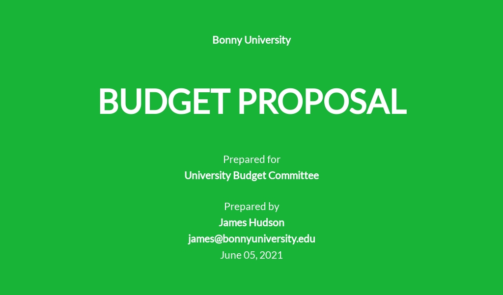 21 FREE Budget Proposal Templates Edit Download Template