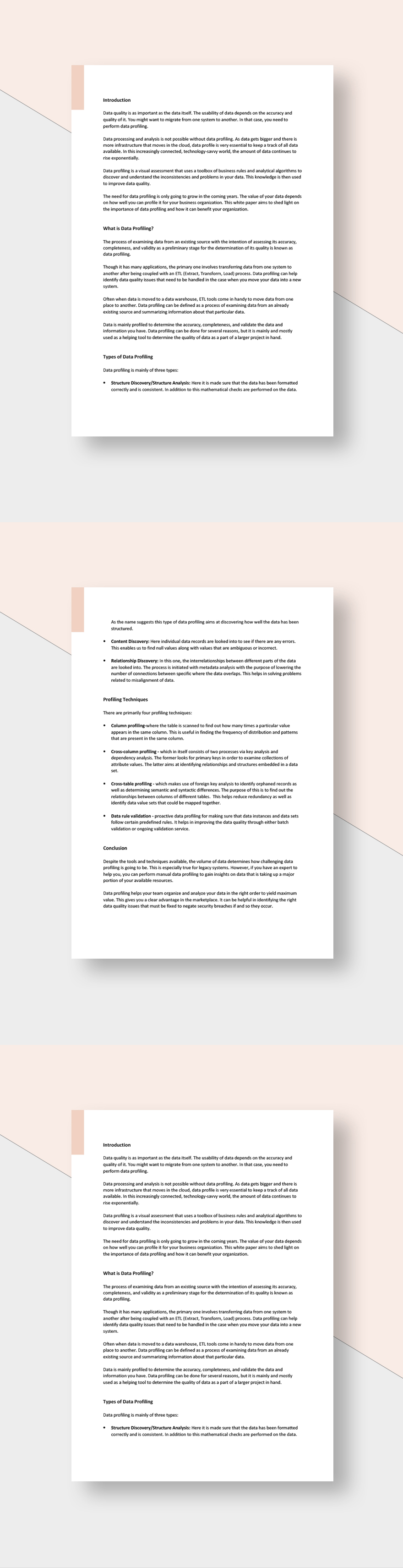 Data Profiling White Paper Template - Google Docs, Word | Template.net
