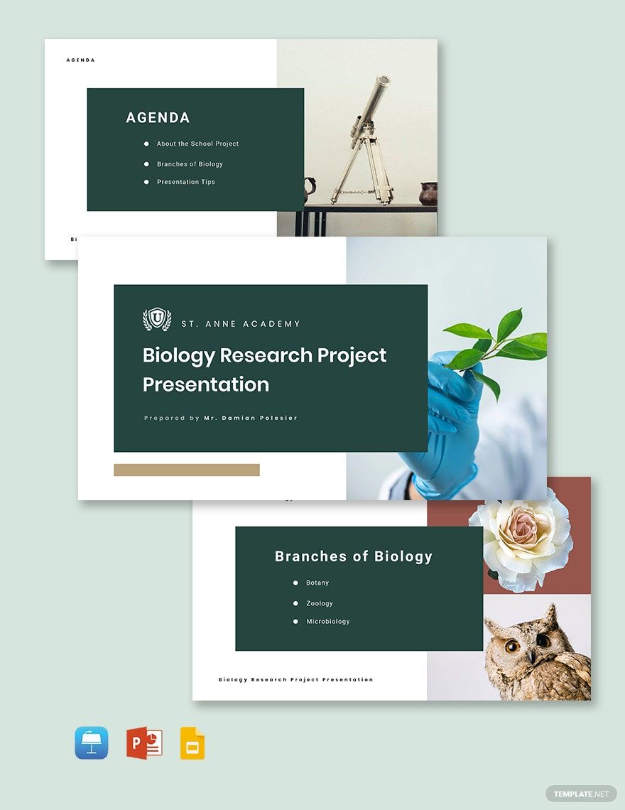 Free Simple School Presentation Template - PowerPoint | Template.net