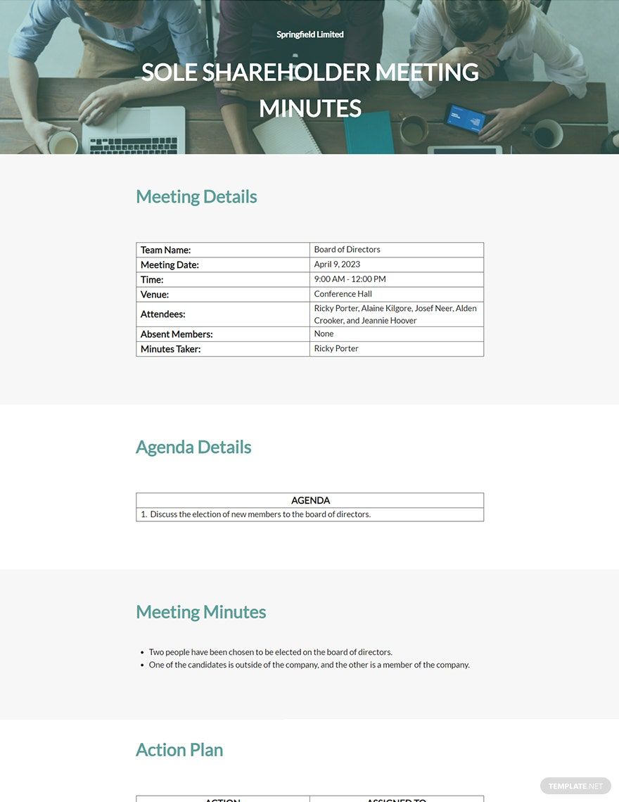 Sole Shareholder Meeting Minutes Template Download In Word Google Docs Apple Pages 