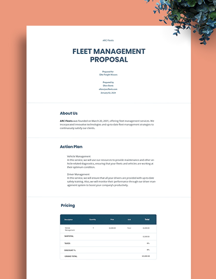 18+ Management Proposal Templates - Free Downloads | Template.net