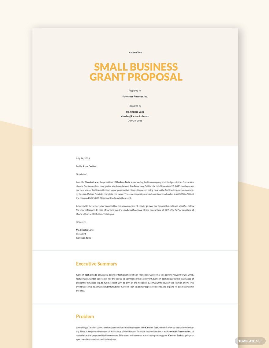 Small Business Grant Proposal Template Google Docs Word Apple Pages 