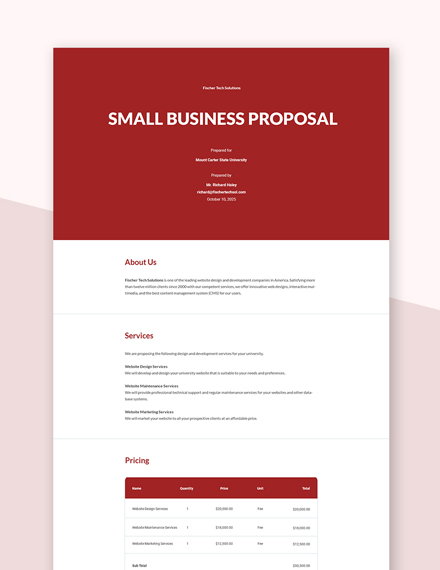 Sample Small Business Proposal Template - Google Docs, Word, Apple ...