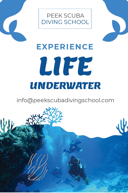 Scuba Diving School Whatsapp Post Template - PSD | Template.net