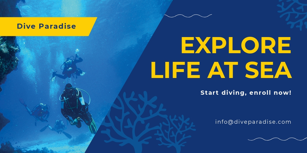Scuba Diving School Linkedin Post Template in PSD | Template.net