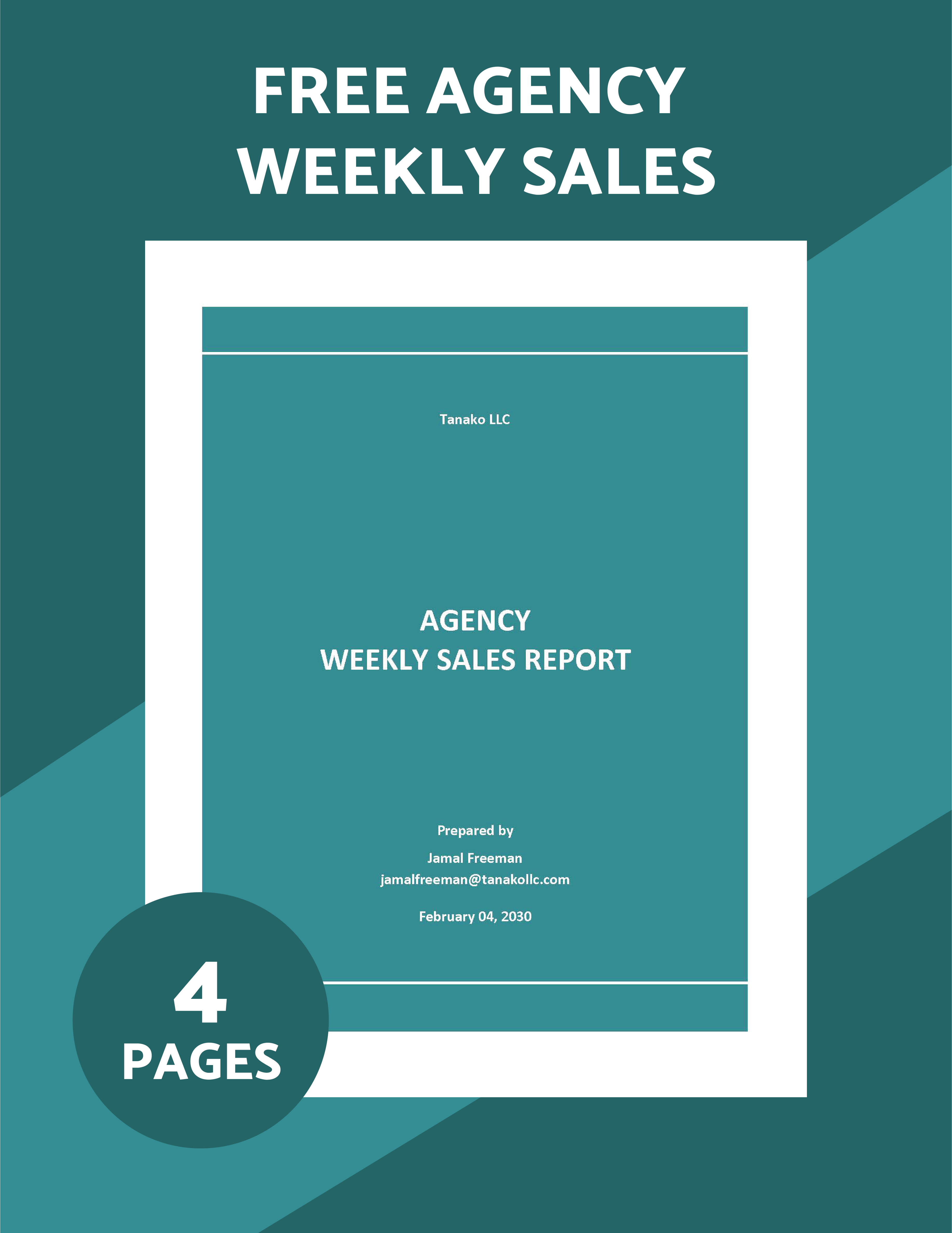 Free Advertising Agency Report Template Google Docs Word Apple