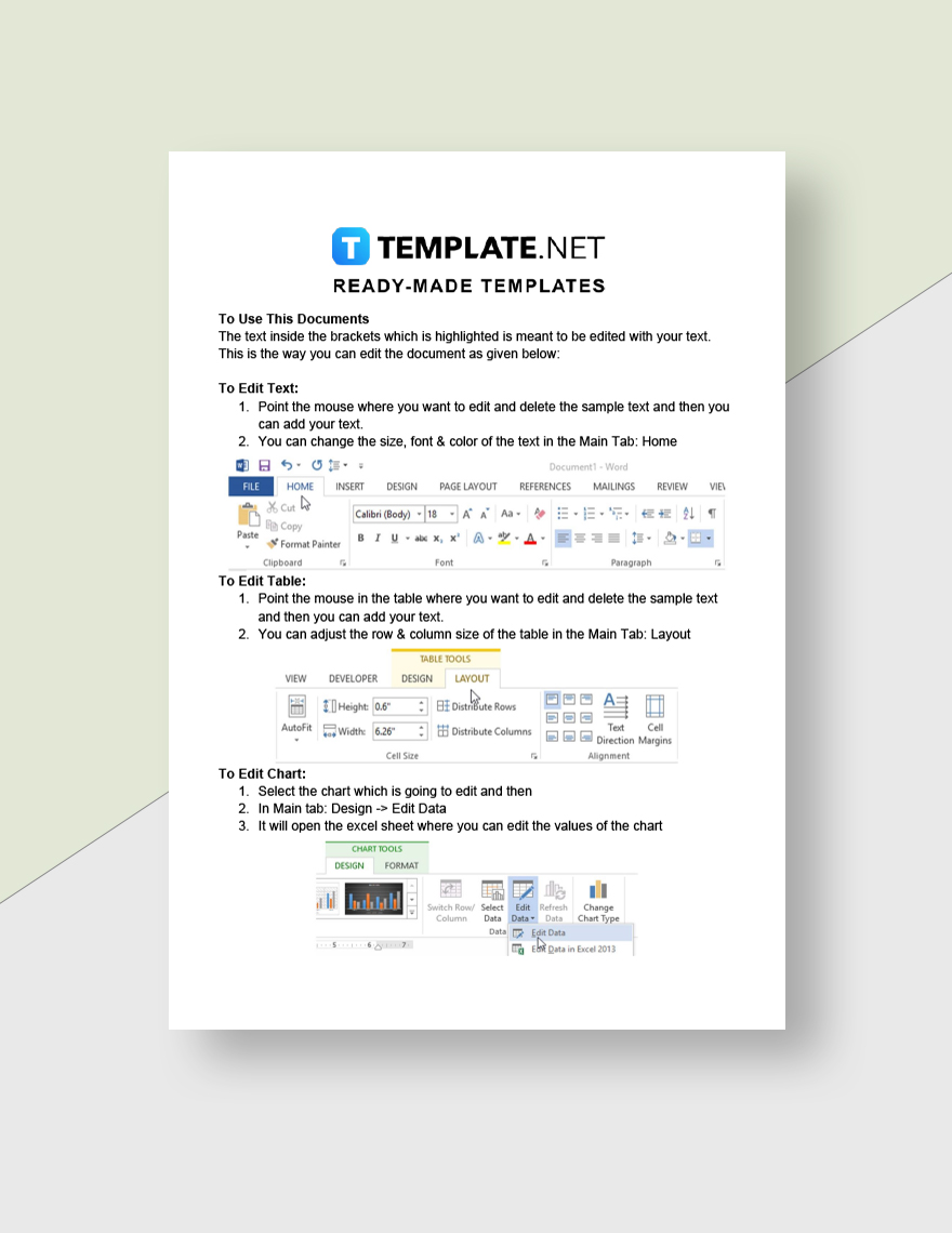 Agency Business Development Plan Template - Google Docs, Word ...
