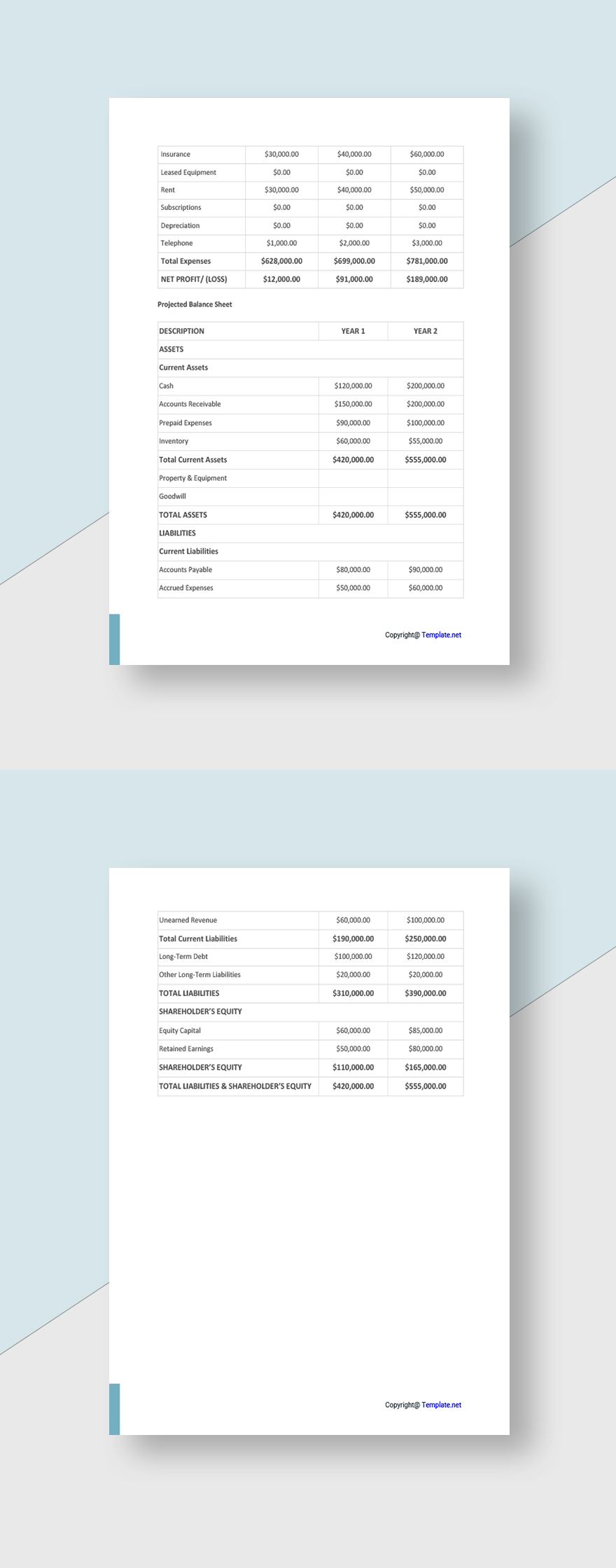 Free Sample Agency Plan Template - Google Docs, Word | Template.net