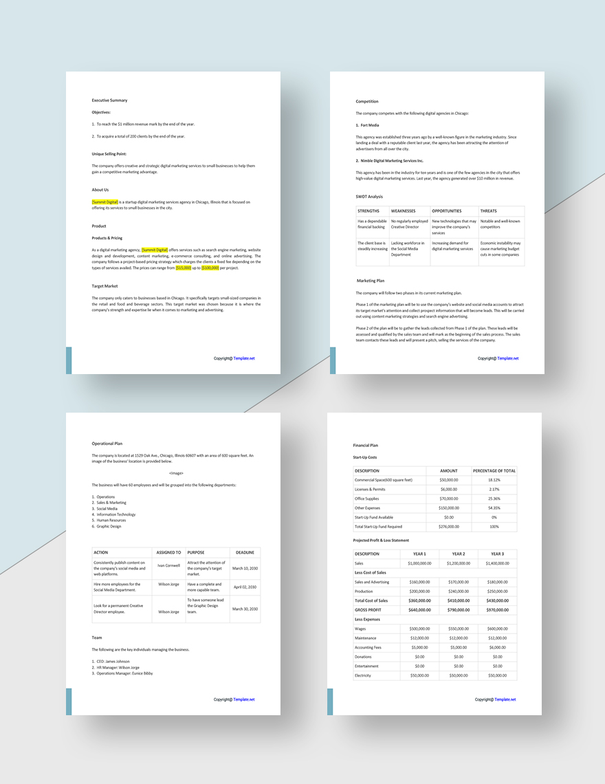 Free Free Sample Agency Plan Template - Google Docs, Word, Apple Pages ...