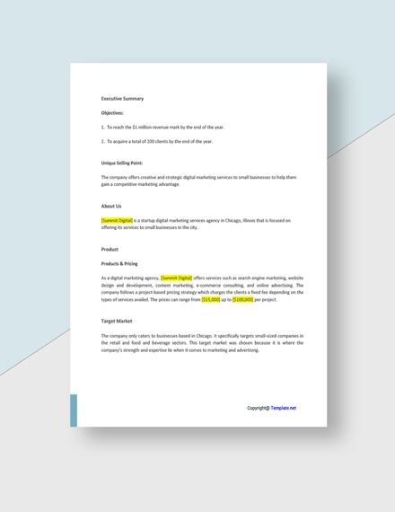 Free Sample Agency Plan Template - Google Docs, Word | Template.net