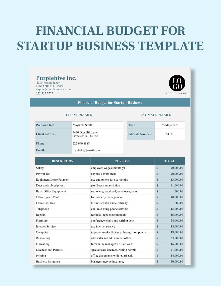 Free Financial Budget For Startup Business Template Google Docs 