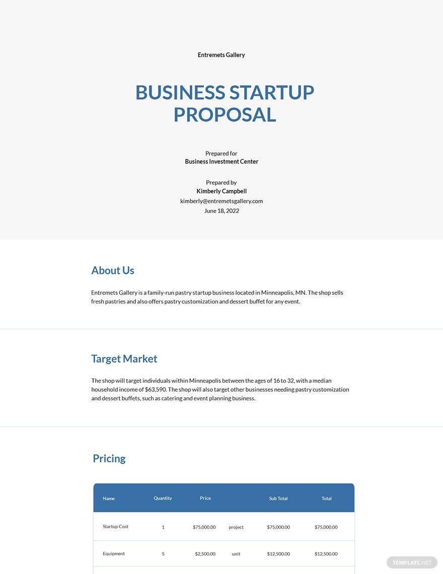 Free New Business Startup Proposal Template Word Template