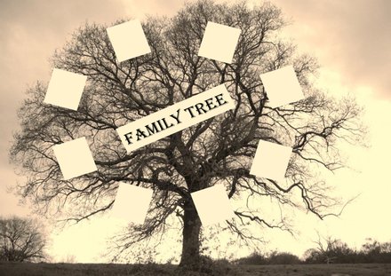 Family Tree Chart Template in Microsoft Word, Excel | Template.net