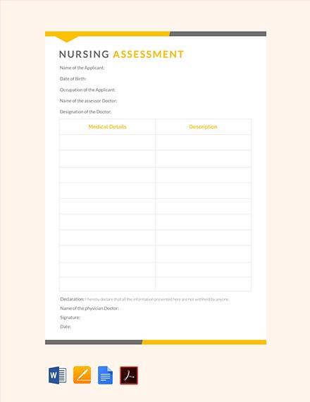 FREE Nursing Assessment Template: Download 751+ Sheets in Word, PDF ...