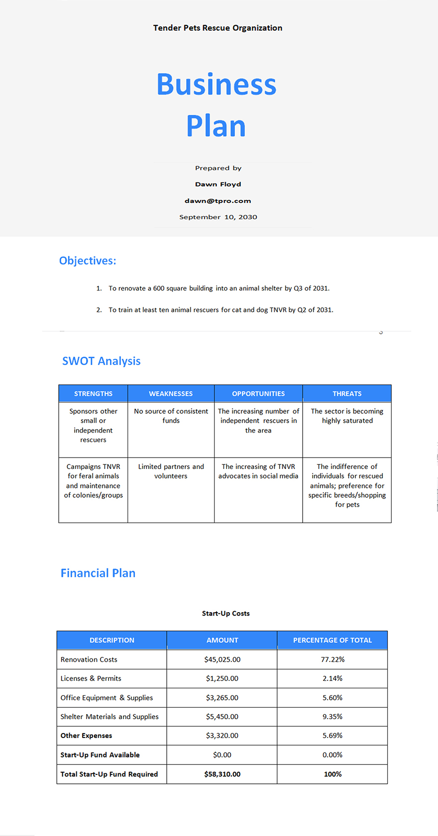 Startup Nonprofit Business Plan Template Google Docs Word Apple 
