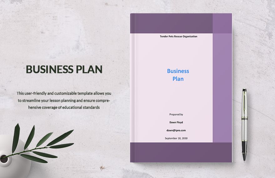 Startup Nonprofit Business Plan Template Download In Word Google 