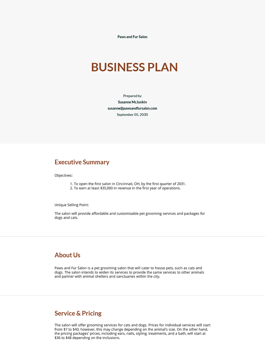 Financial Plan For Startup Business Example Template Google Docs 