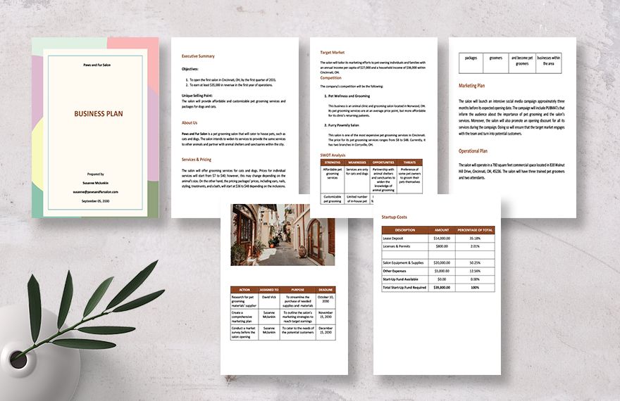 Free Financial Plan For Startup Business Example Template Download In 