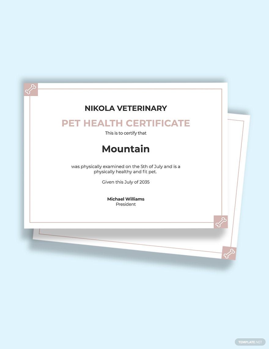 Health Care Certificate Template Download In Word Google Docs PSD 