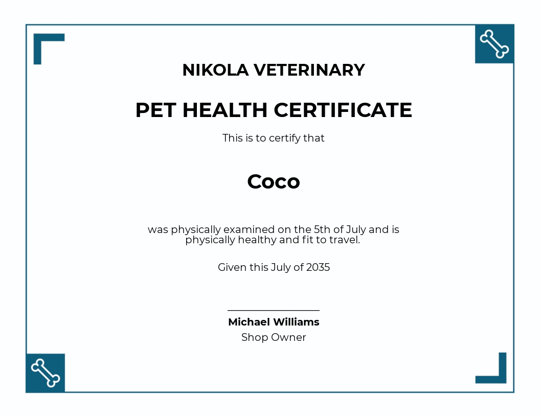 Health Care Certificate Template In Google Docs Word PSD Template