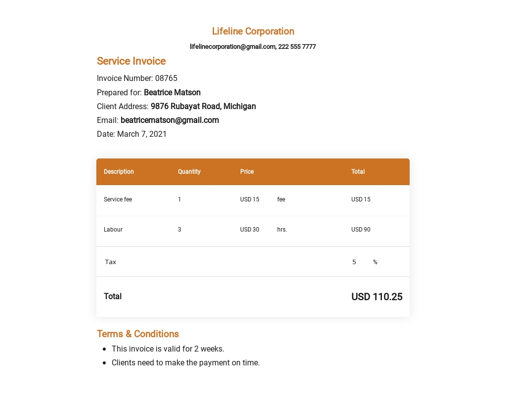 FREE Modern Invoice Template - PDF | Word (DOC) | Excel | PSD | Apple ...