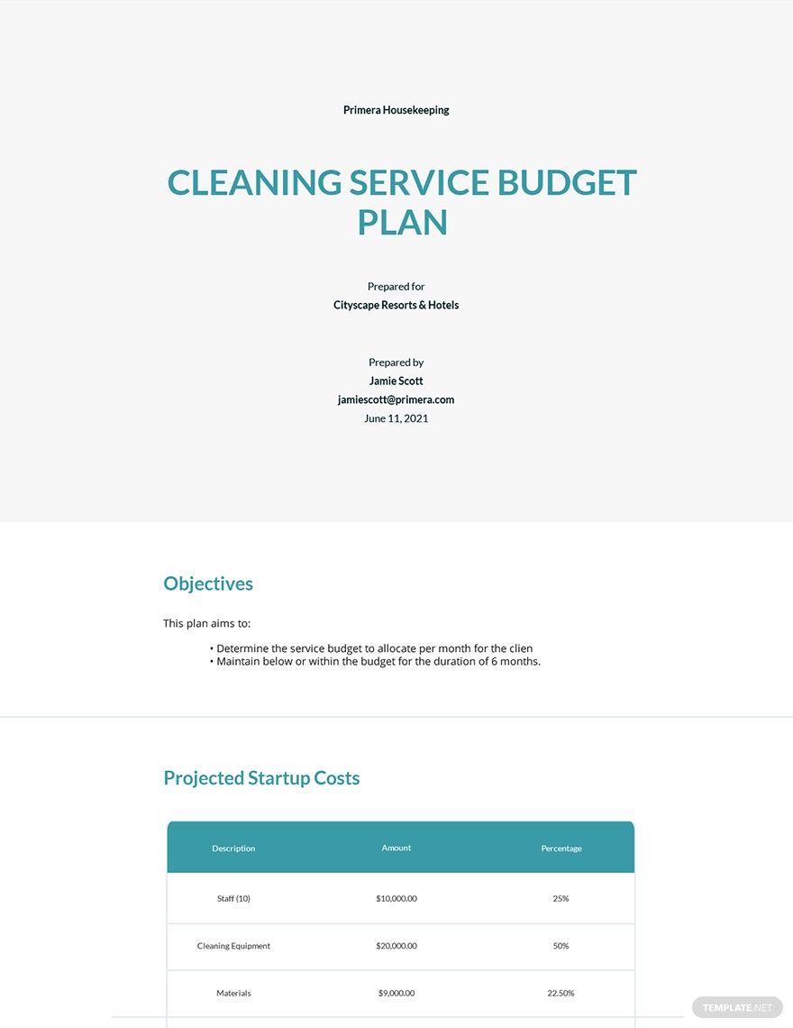 Cleaning Service Budget Plan Template Google Docs Word Apple Pages 