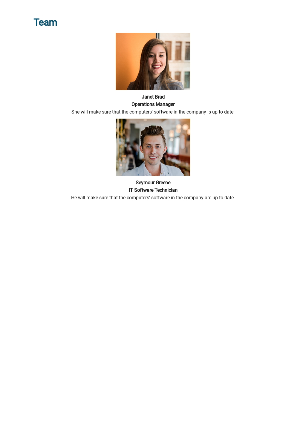 Editable Software Implementation Plan Template - Google Docs, Word ...