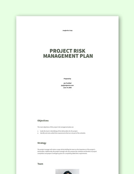 Program Risk Management Plan Template in Google Docs, Word | Template.net