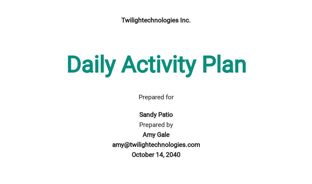Daily Activity Plan Template