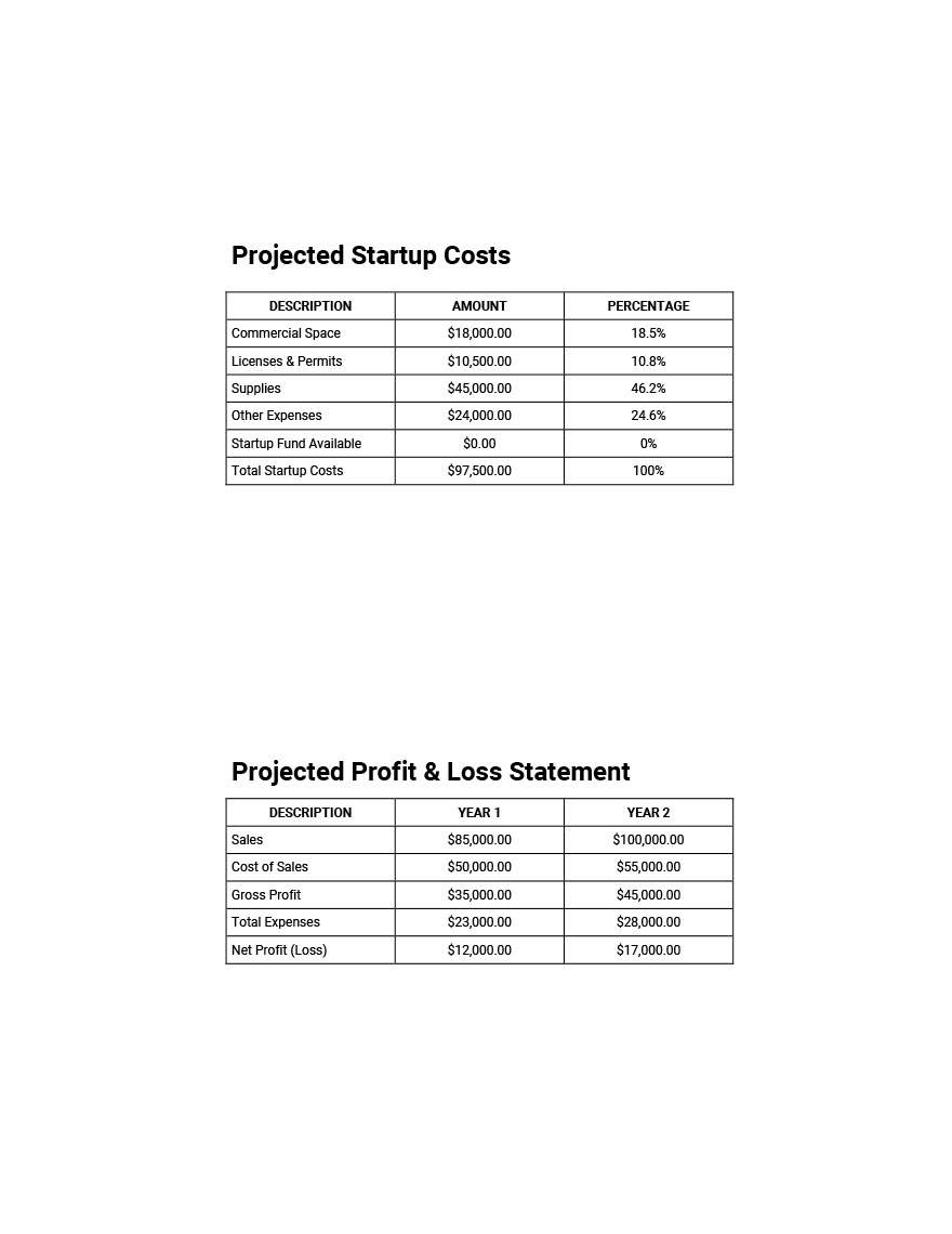 4 year business Plan Template - Google Docs, Word, Apple Pages ...