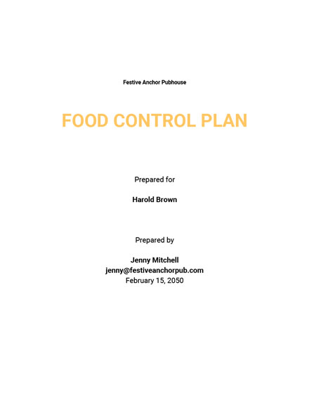 Traffic Control Plan Template - Google Docs, Word, Apple Pages, PDF ...