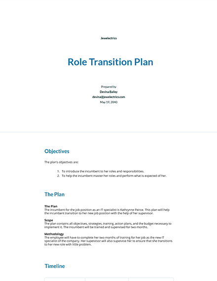 Software Development Transition Plan Template - Google Docs, Word ...