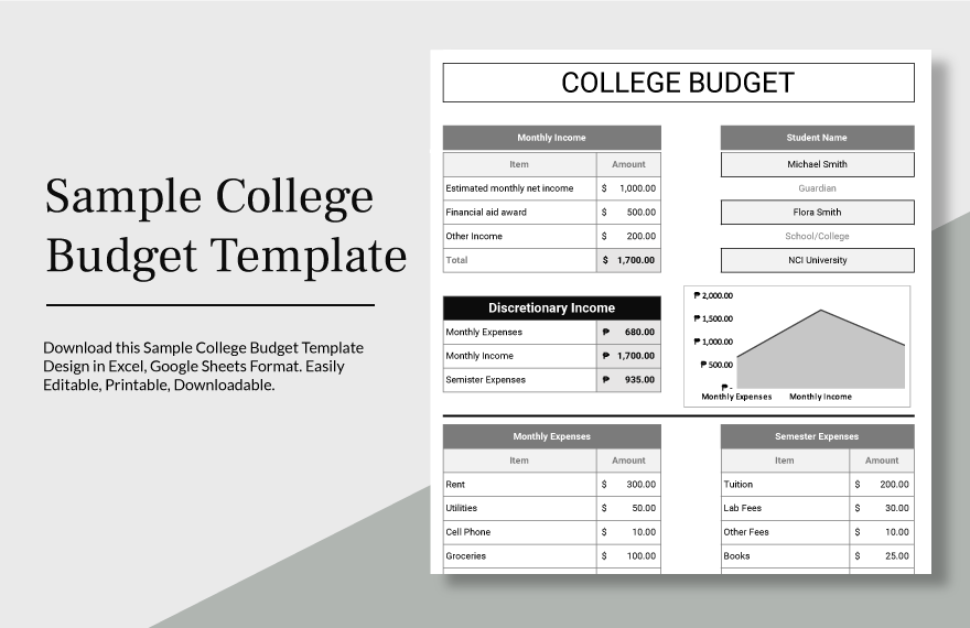 Sample College Budget Template Download In Word Google Docs Excel 