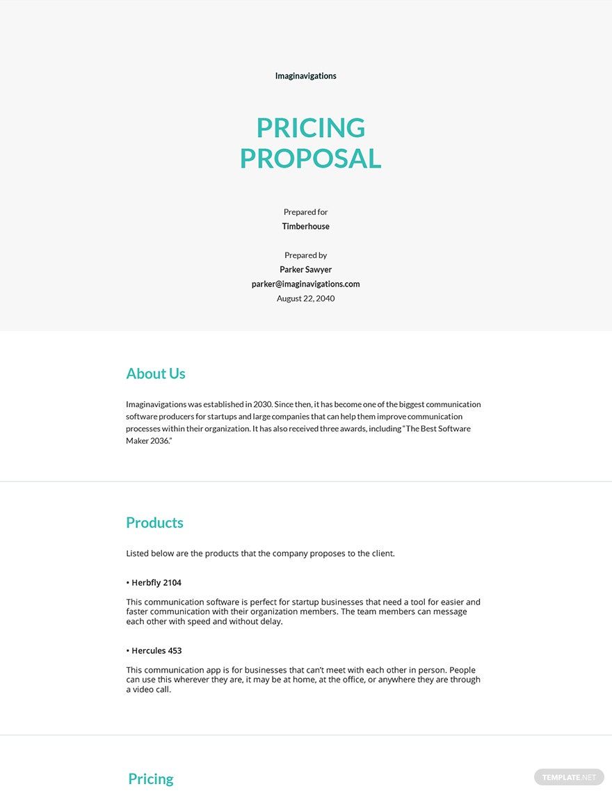 Free Pricing Strategy Proposal Template Google Docs Word Apple