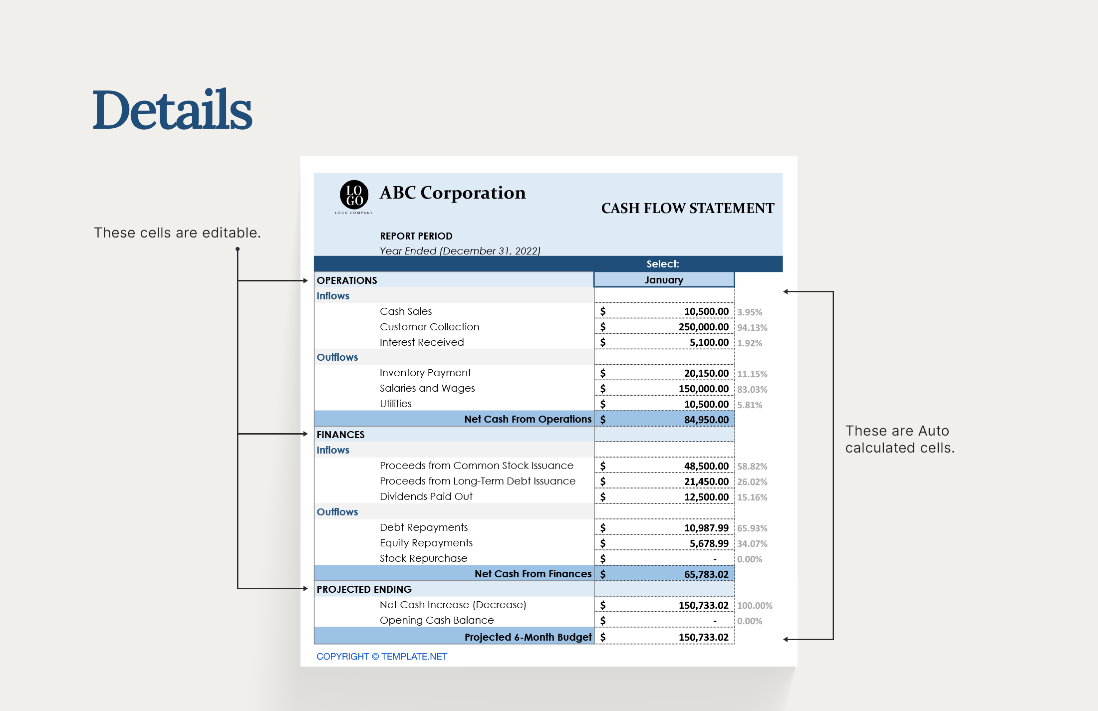 Cash Flow Statement - Download in Word, Google Docs, Excel, PDF, Google ...