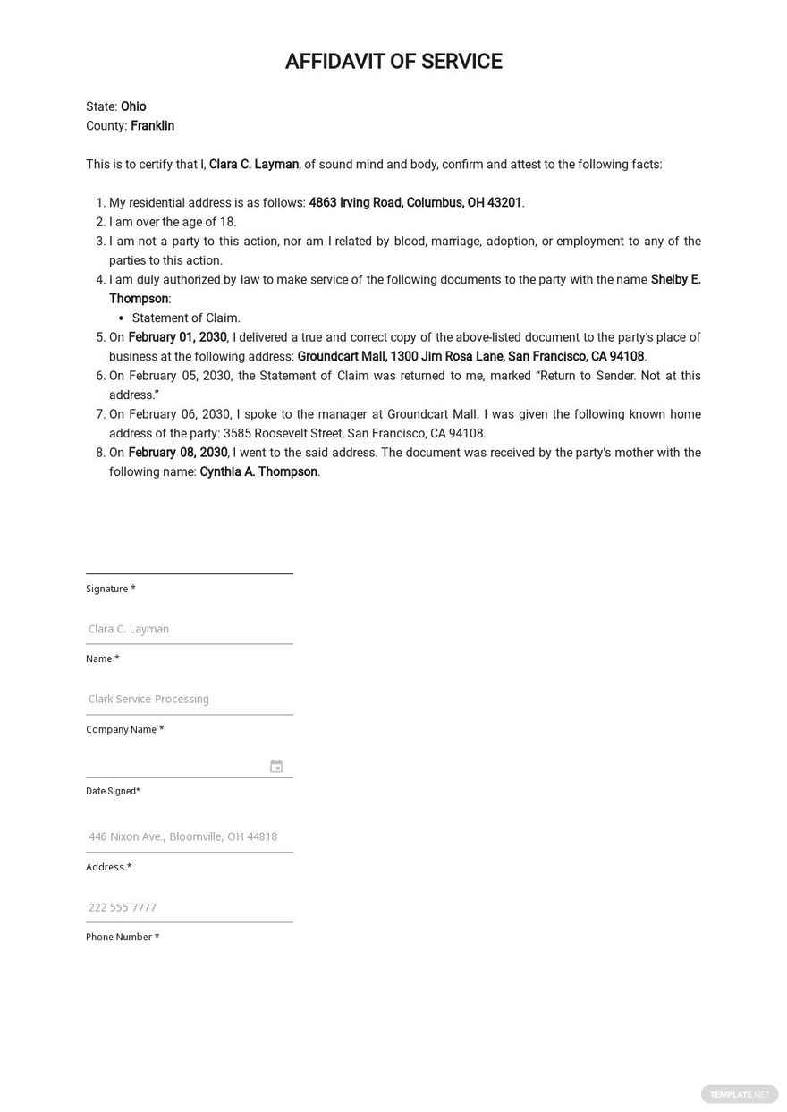 Free Blank Affidavit Service Template - Google Docs, Word | Template.net