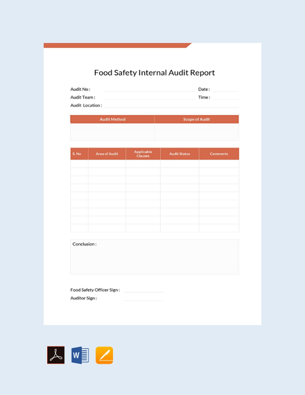 6+ Daily Audit Report Templates - PDF, DOC, Word, Pages