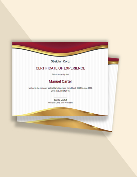 Editable Job Experience Certificate Template - Google Docs, Illustrator ...