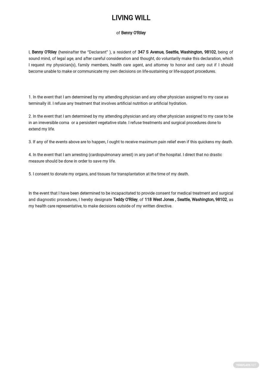 Medical Care Living Will Template - Google Docs, Word | Template.net