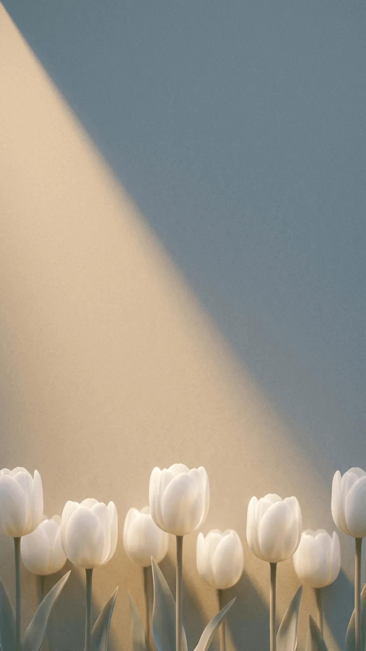 Free Minimalist TikTok Background Template to Edit Online