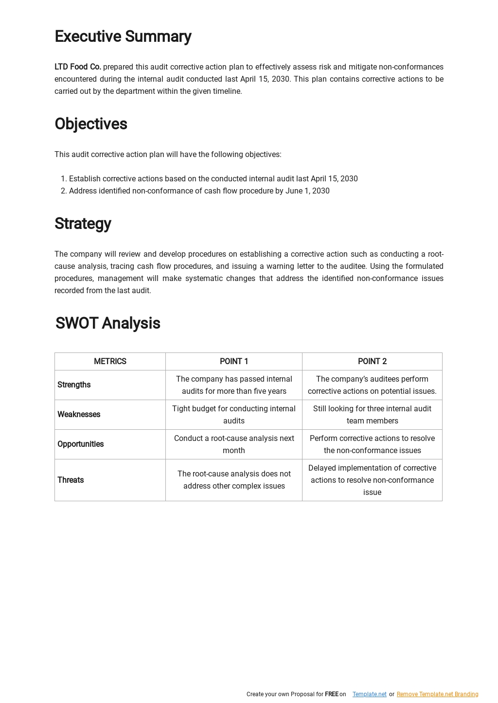 Corrective Action Plan Template For Audit