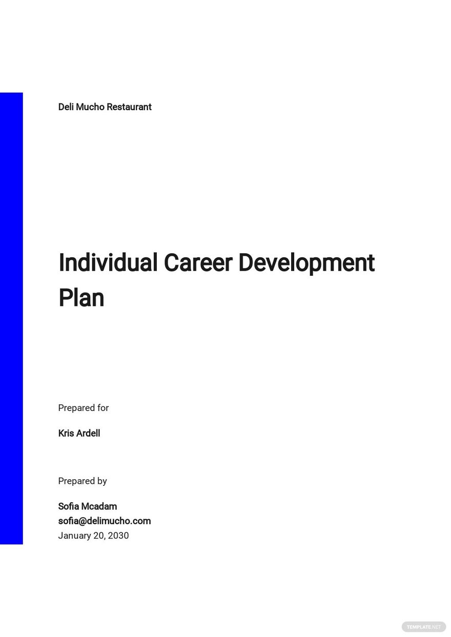 Individual Development Plan Template For Employees - Google Docs, Word ...